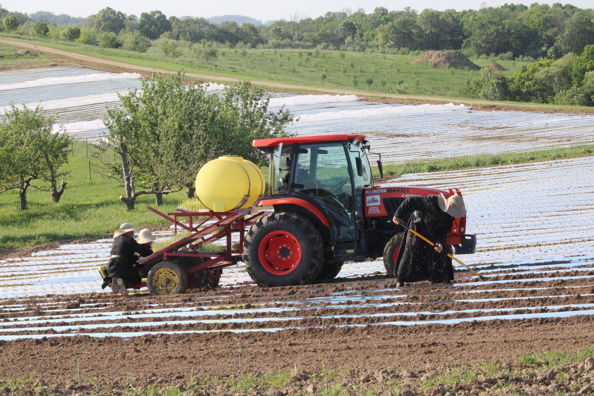 St Francis Hermitage – St Roger Abbey